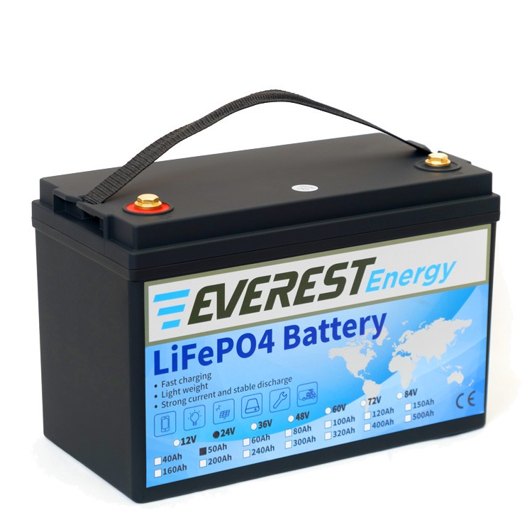 Литиевый тяговый аккумулятор Everest LFP-24V 60Аh